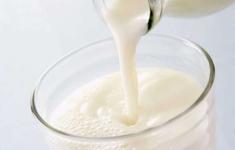 The Surprising Benefits of Cockroach Milk – SoGoodly