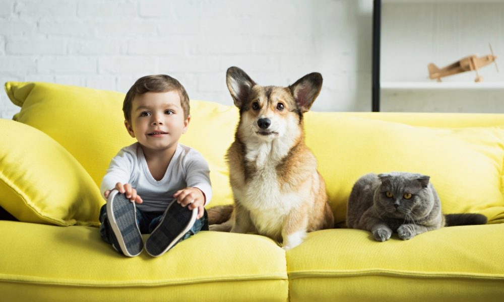 Advice for Teaching Toddlers How to Be Kind to Pets – SoGoodly