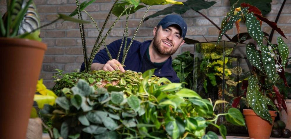 Tony the Plant Man Grows Very Expensive Plants – SoGoodly