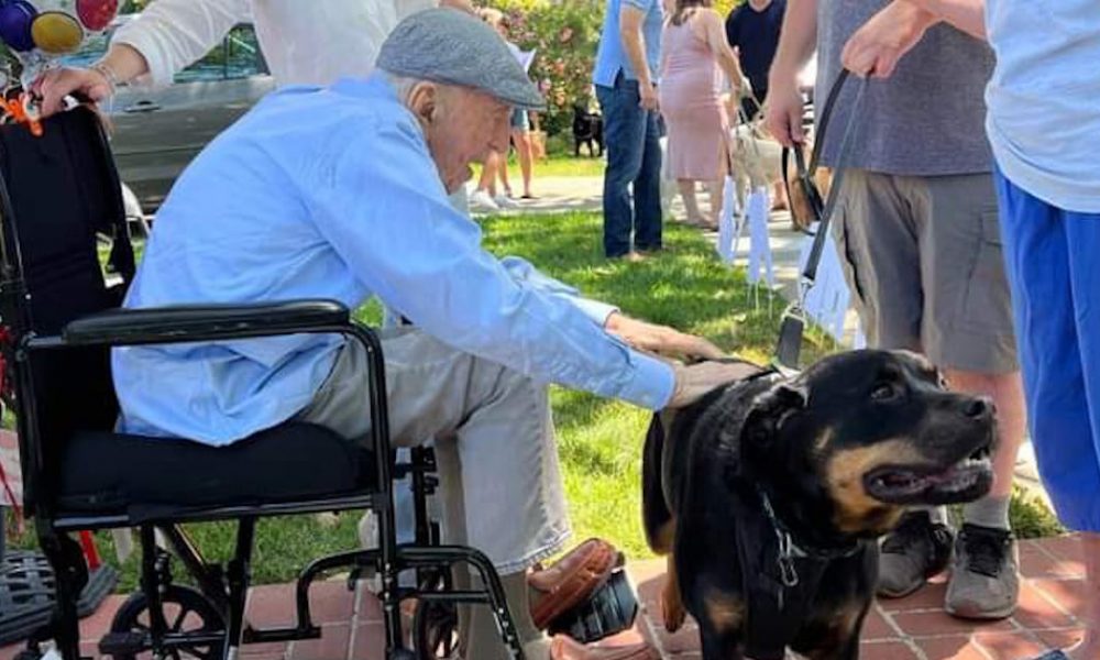 Robert Moore’s 100th Birthday Wish Fulfilled by Dogs – SoGoodly